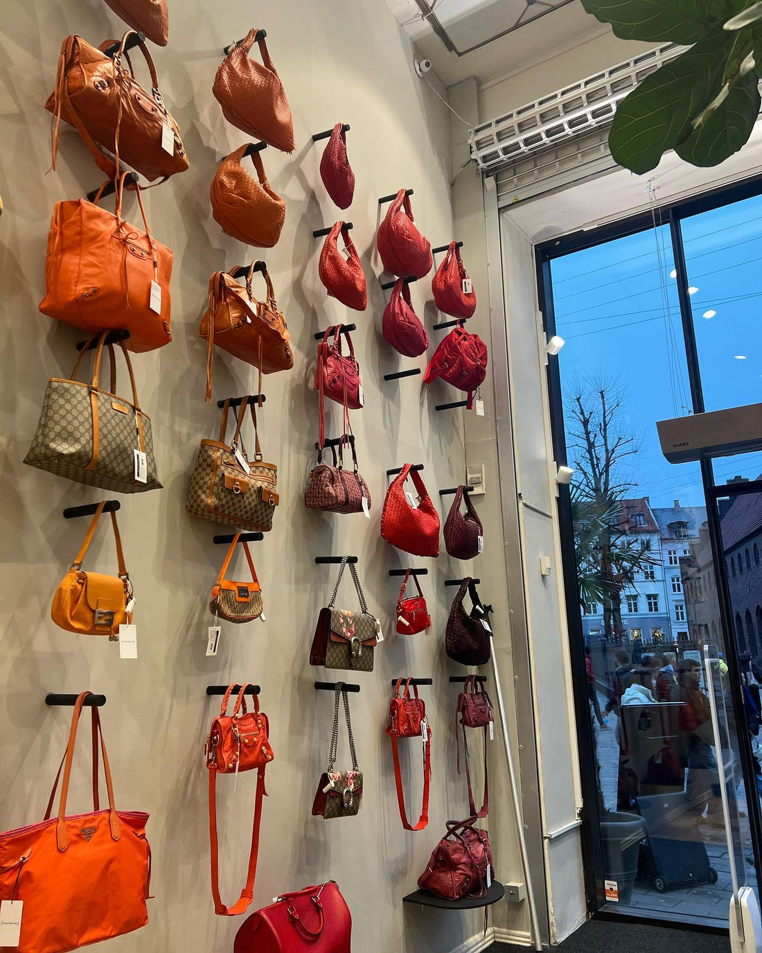 About Collectors Cage – Collector's Cage